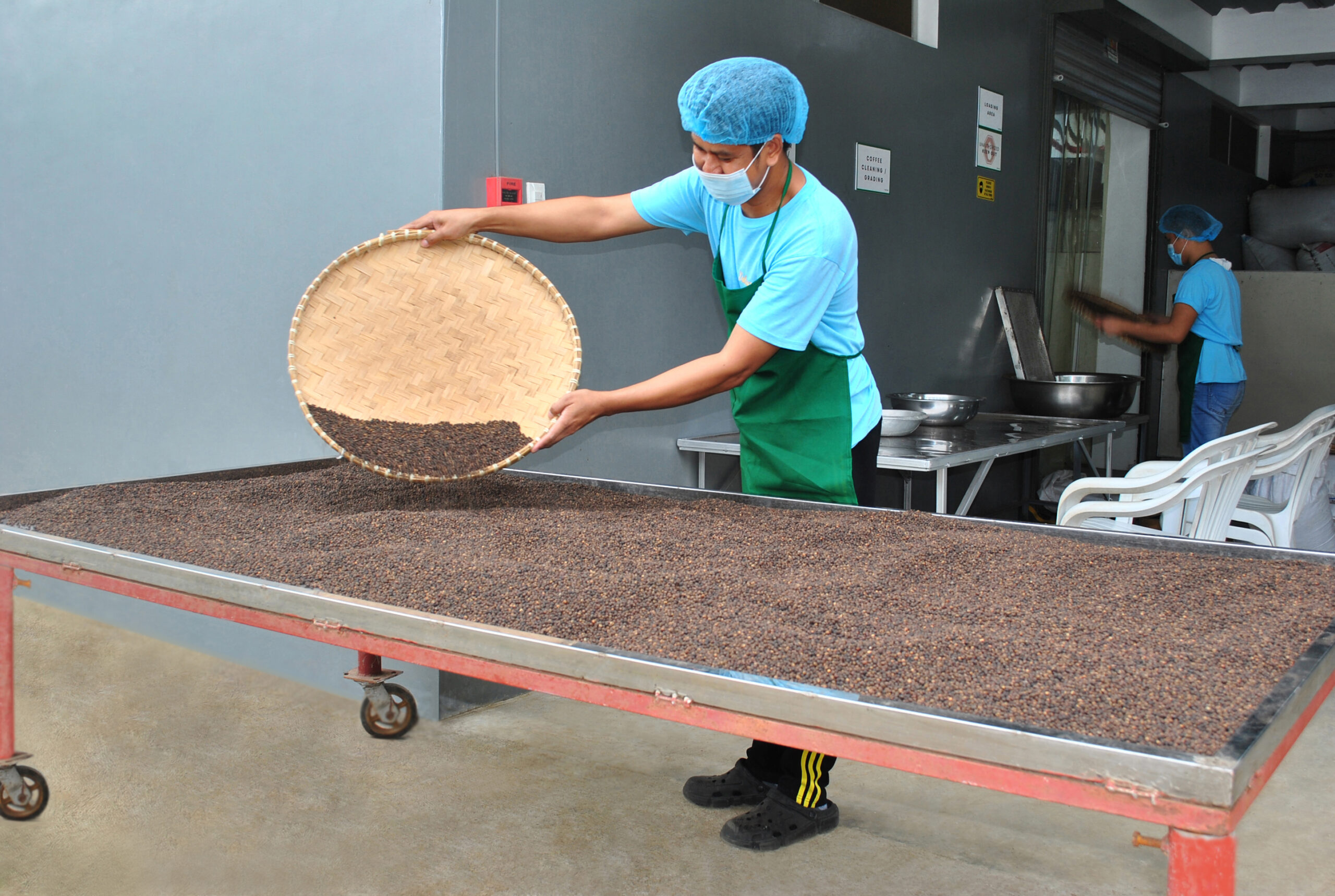 Black Pepper Production Process | Valucrops, Inc.